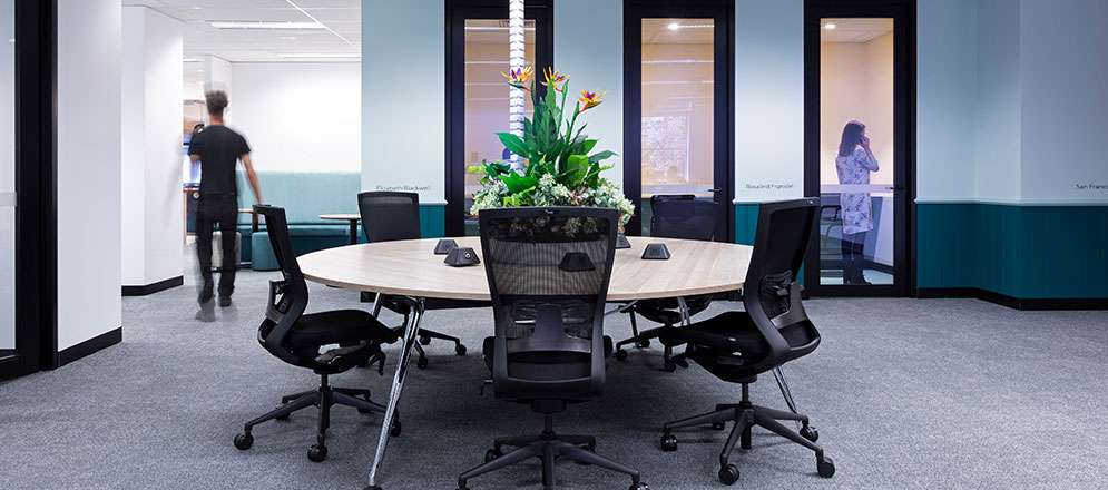 Amicus Project | Novotech