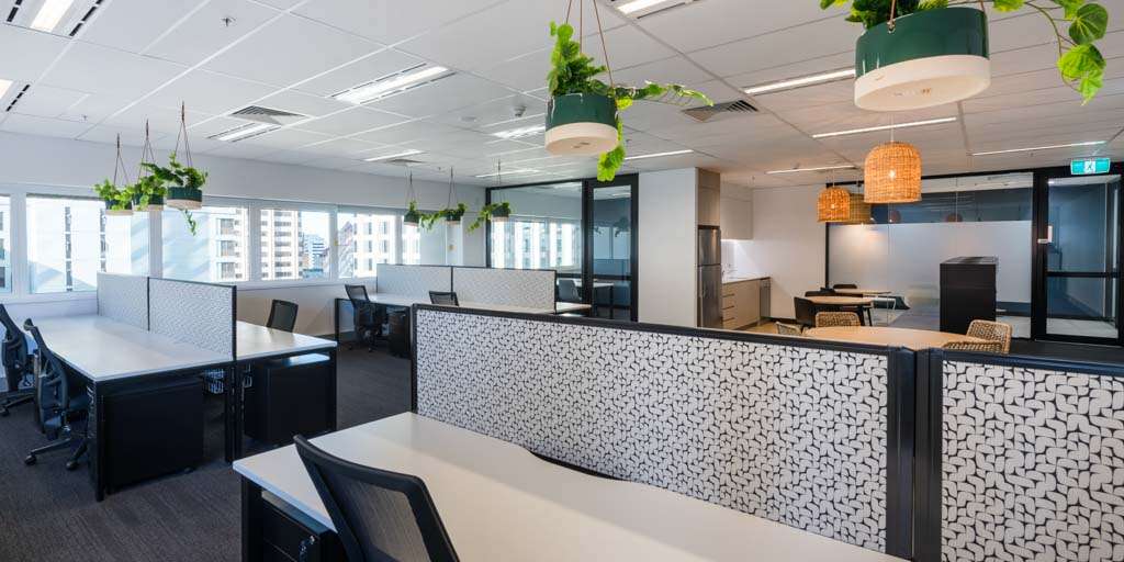 Amicus Project | 127 Creek St