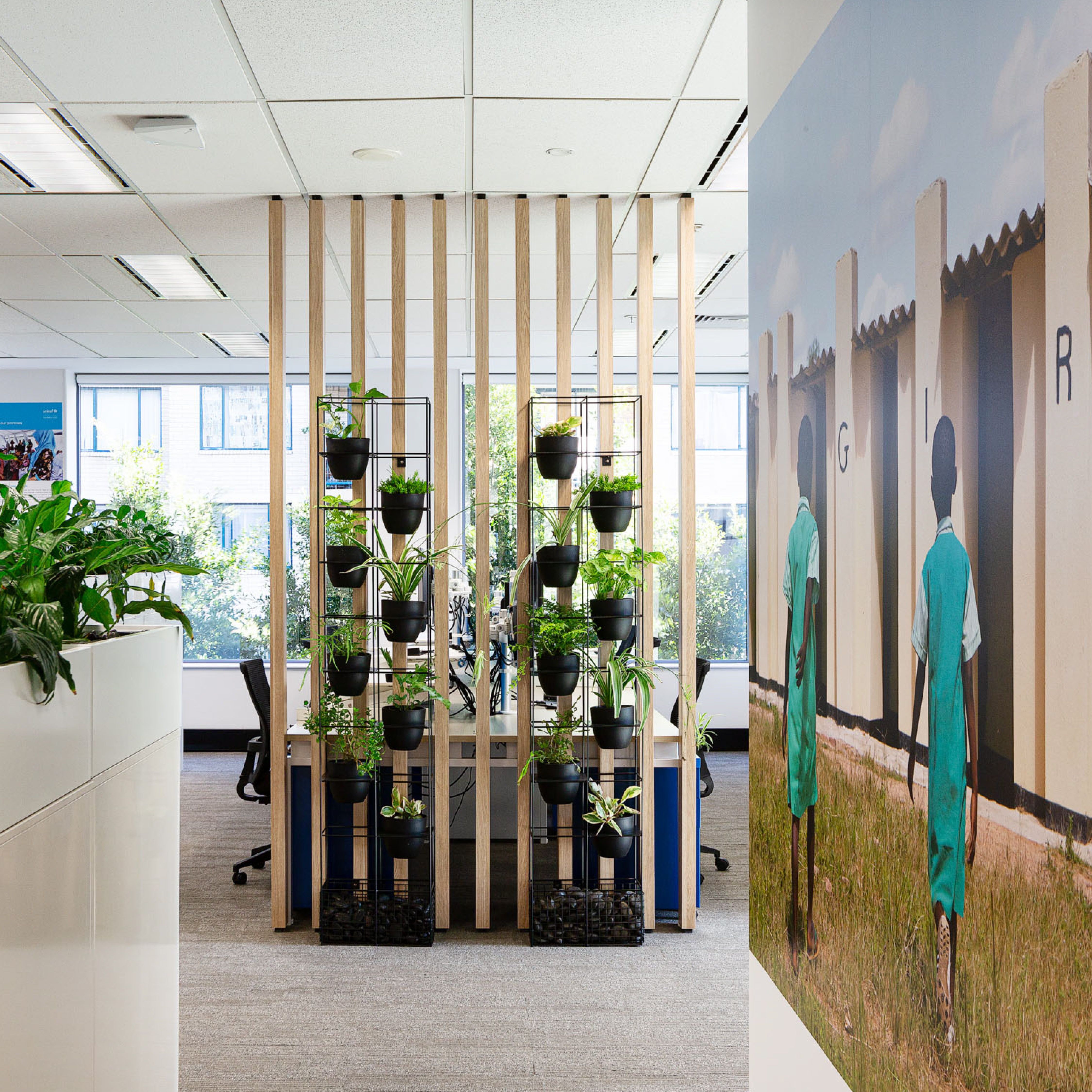 Amicus Project | UNICEF Australia