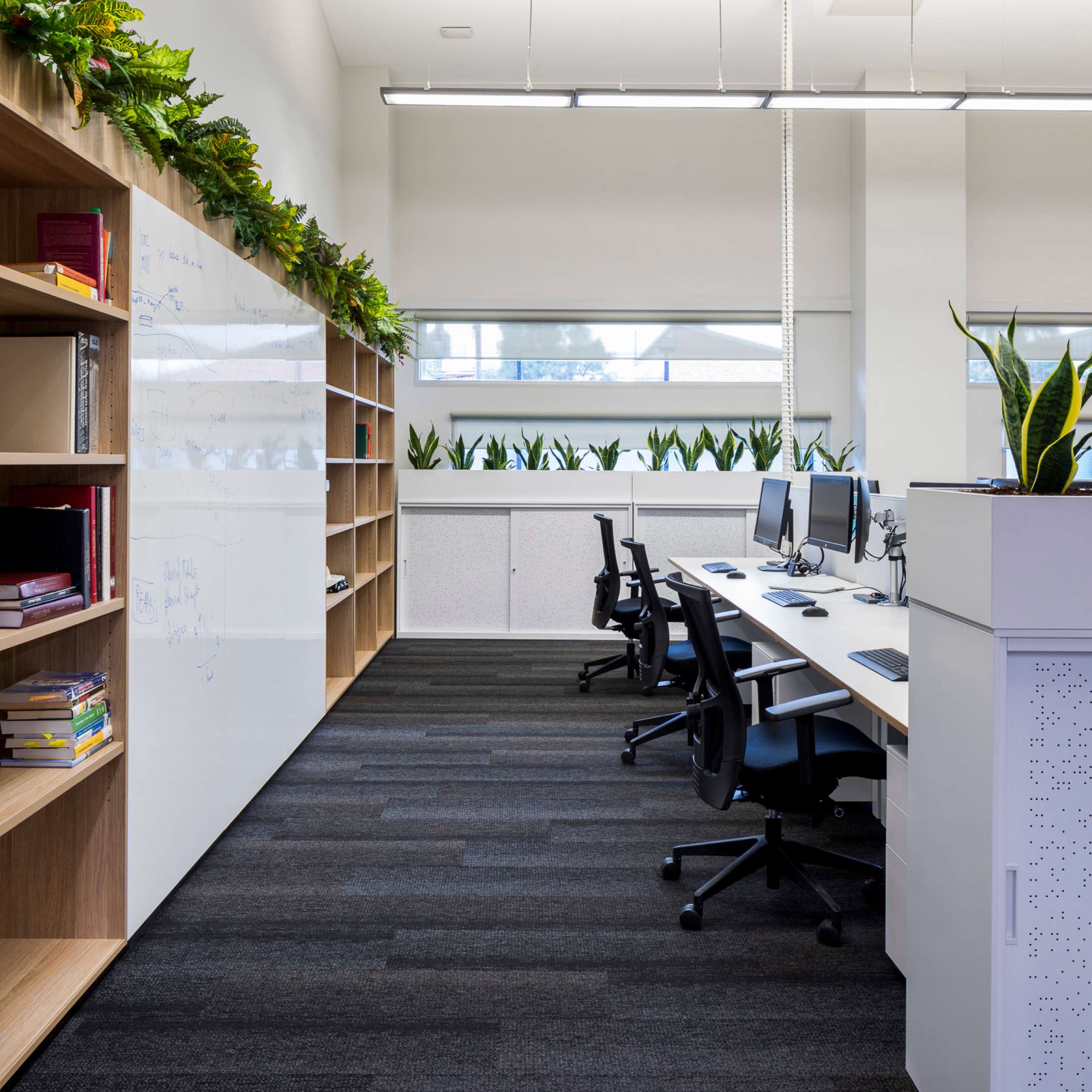 Amicus Project | ARRB Workspace