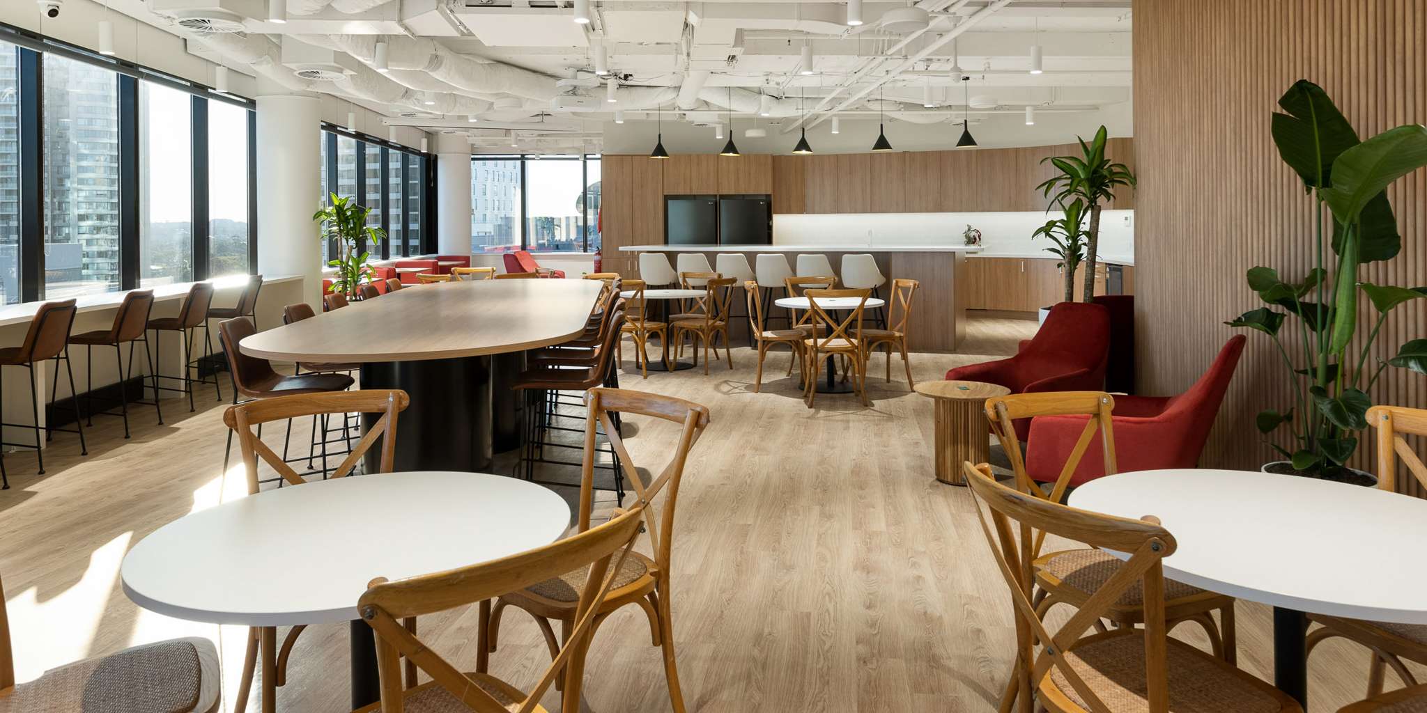 Amicus Project | iNova