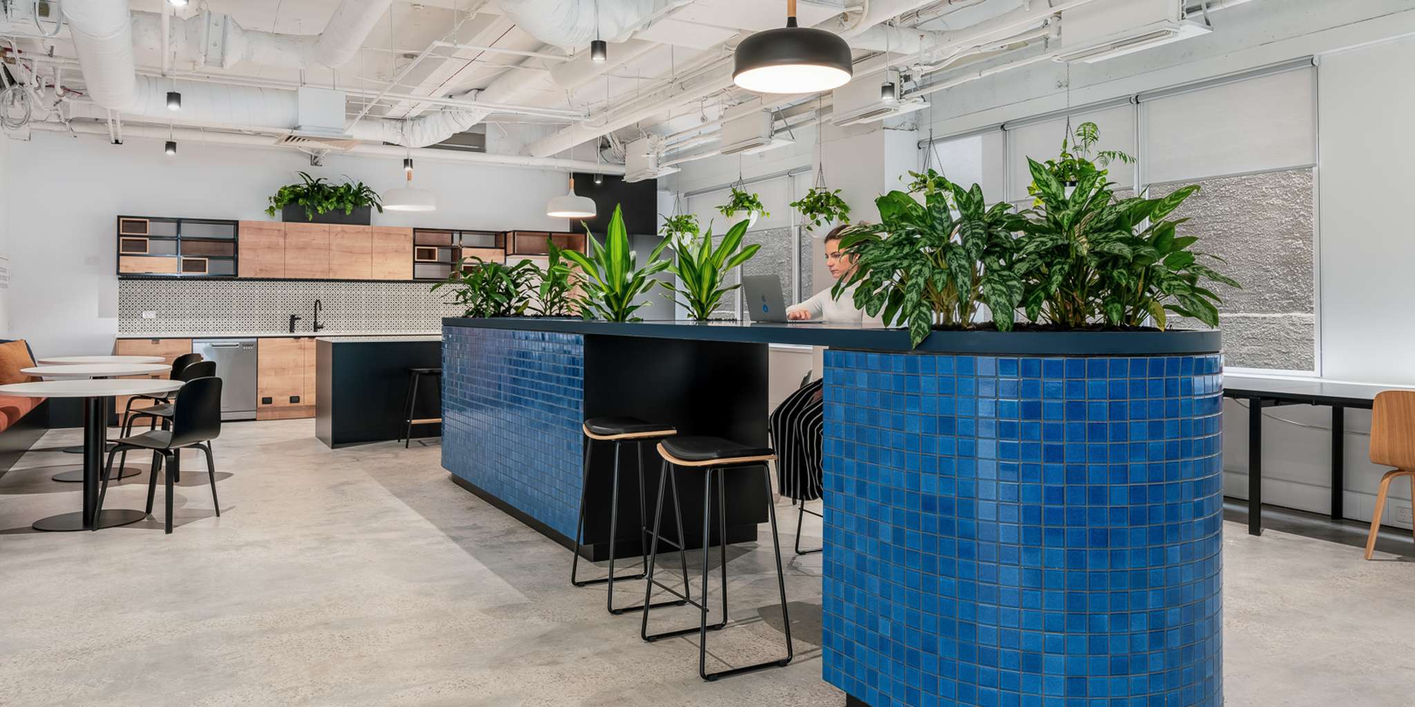 Amicus Project | Artifex Property