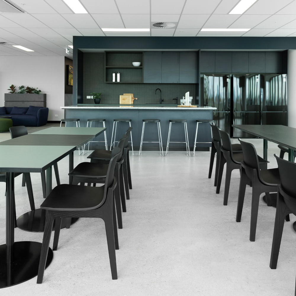 Amicus Project | TLA