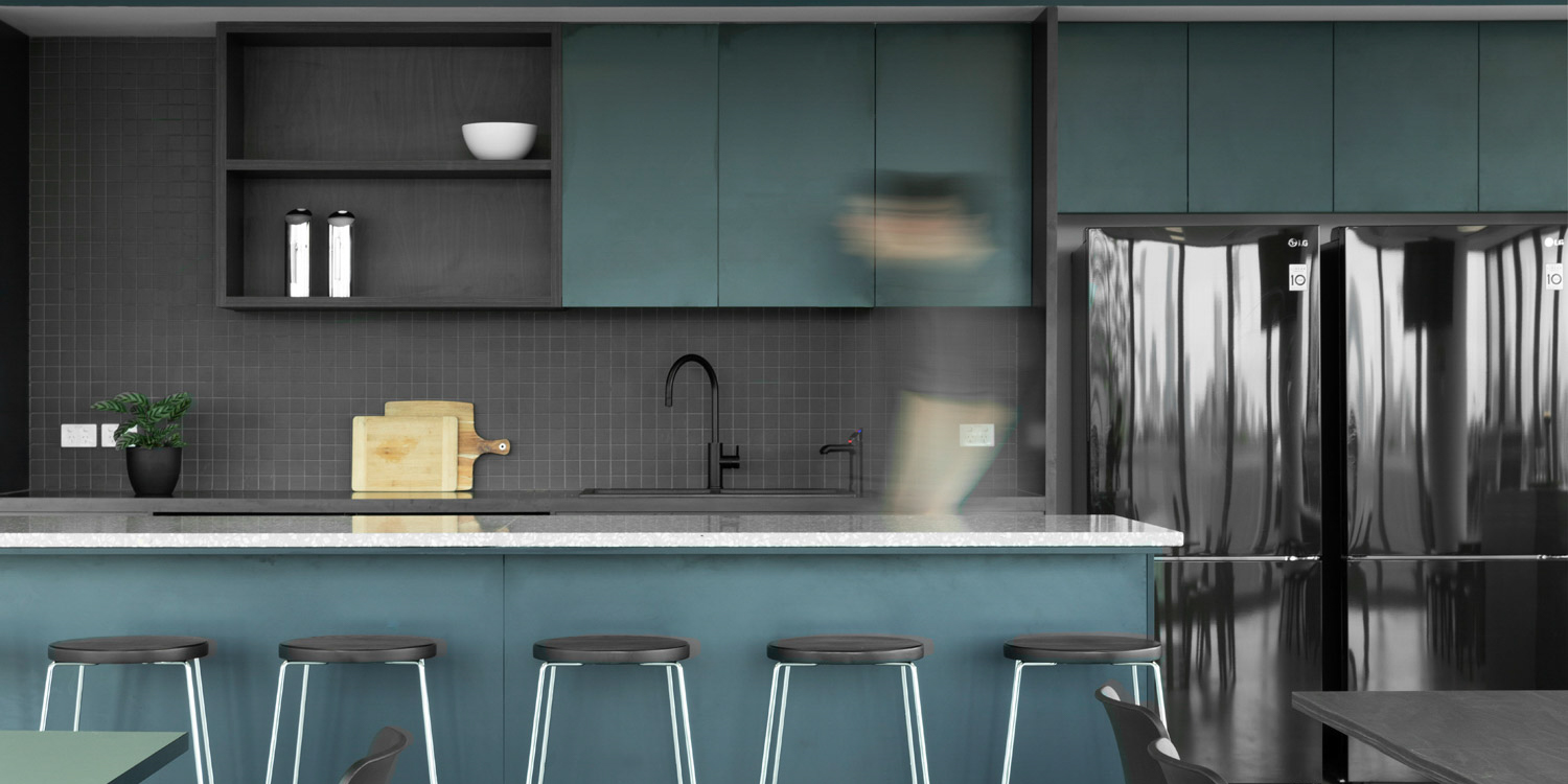 Amicus Project | TLA