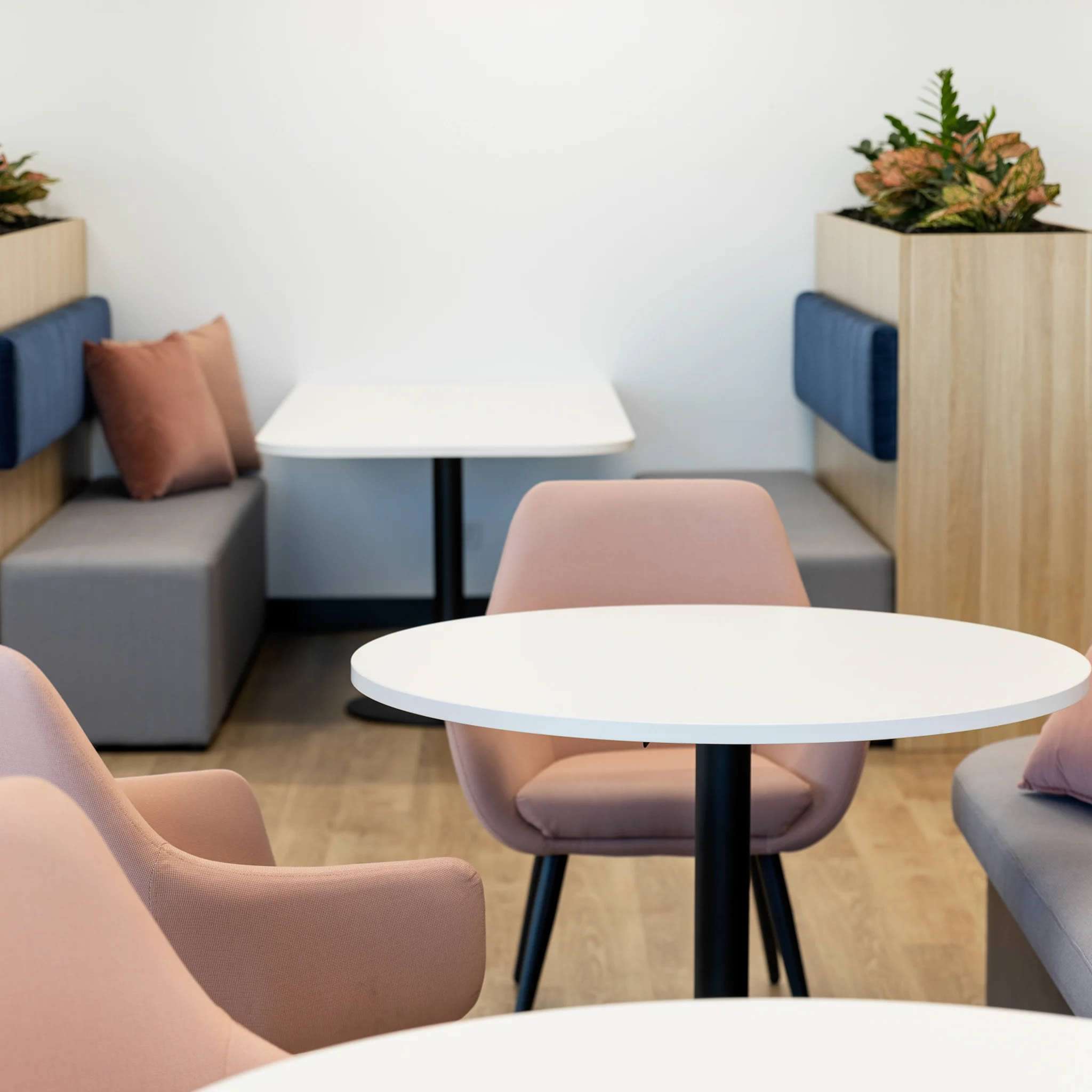 Amicus Project | COTY Office Design